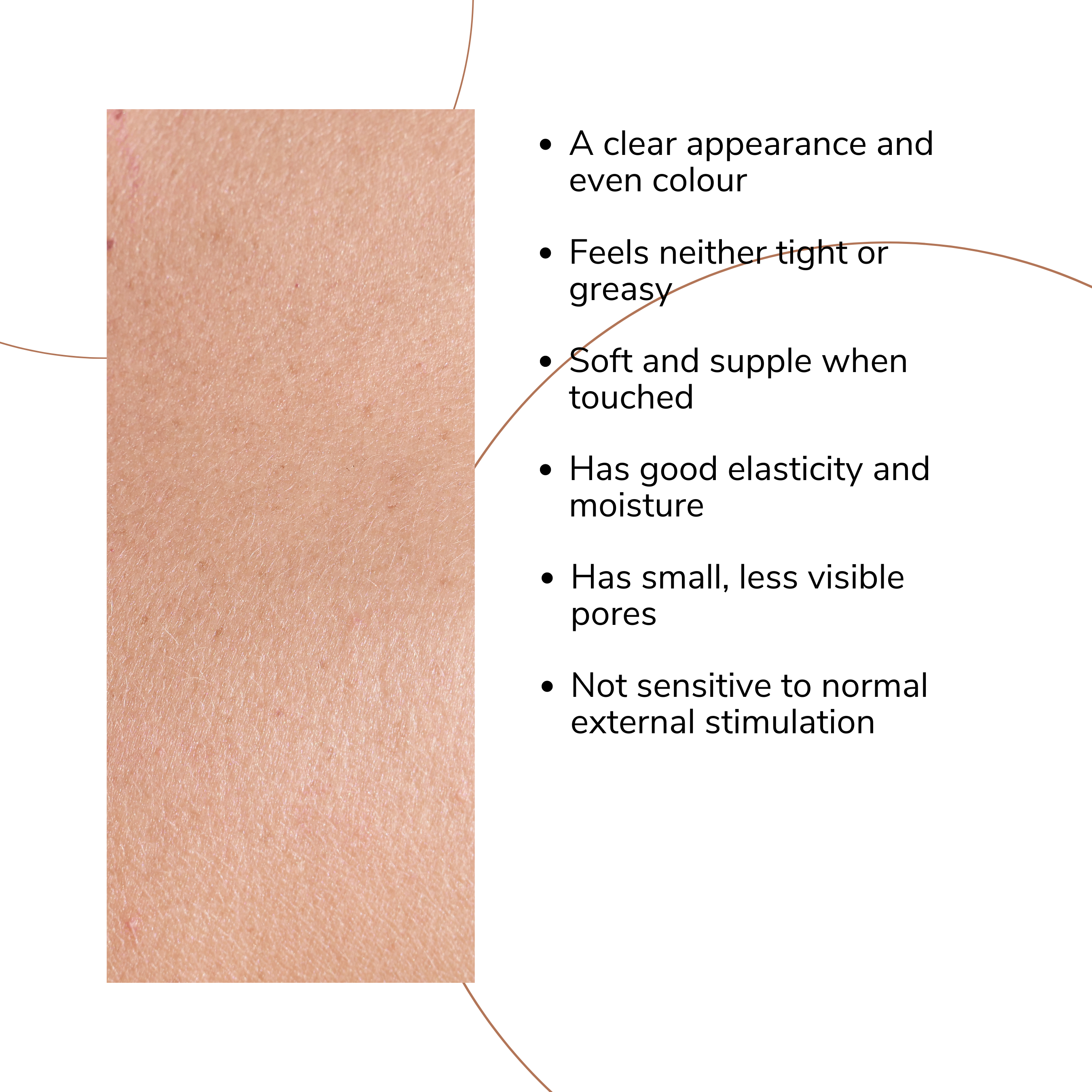 Normal Skin – Dermtropics